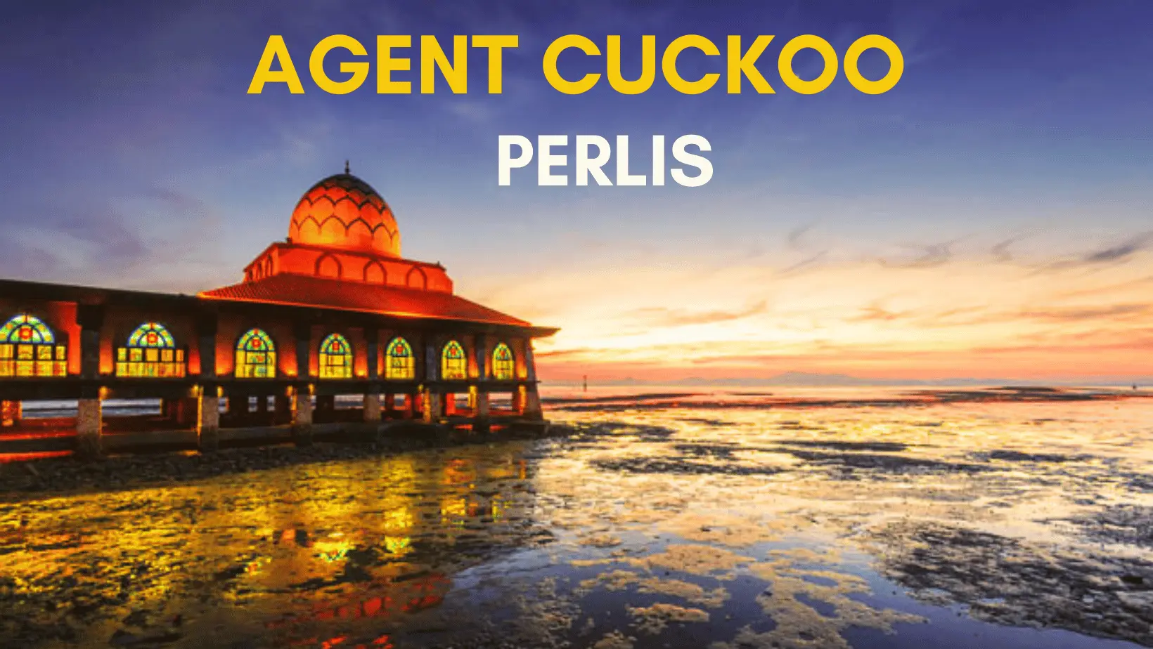 Cuckoo Perlis Official Branch | Senarai Promosi Bulan Ni Disini